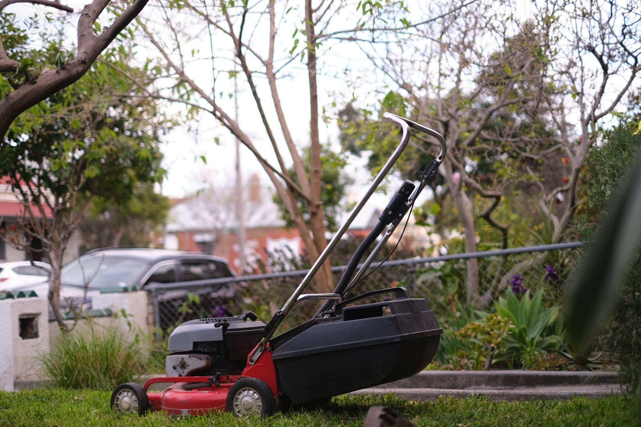 What Types Of Lawn Mowers Are Best For Professional Lawn Mowing
