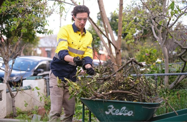 Green Waste Removal Frankston - Your Trusted Rubbish Removal And ...