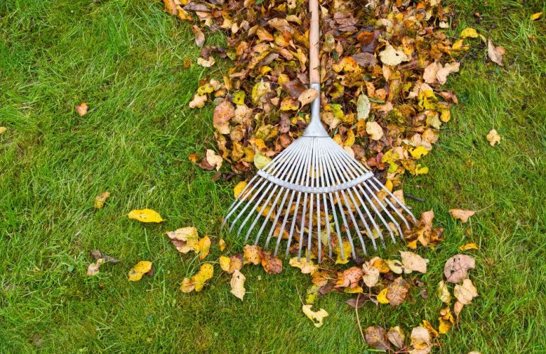 Green Waste Removal Melbourne - The Right Way To Deal With Rubbish ...